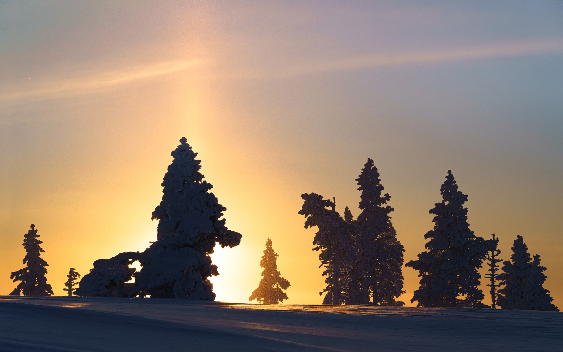 A Family-Friendly Guide to Lapland: Best Private Activities for Kids ...